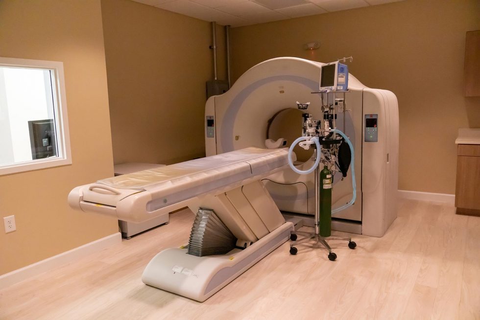 Neurology | Institute of Veterinary Specialists